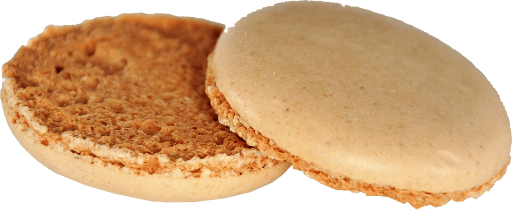 MACARONS DE PARIS SHELL 35MM LEMON - Town & Country Fine Foods